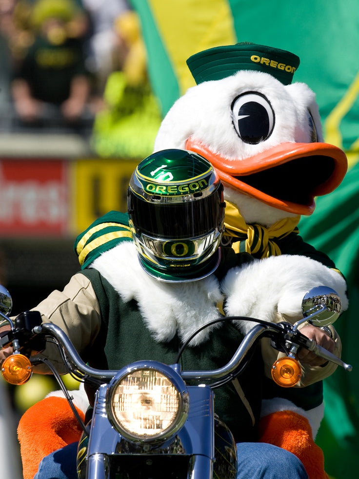 Collections – The Neighborhood Eugene Sustainability Team